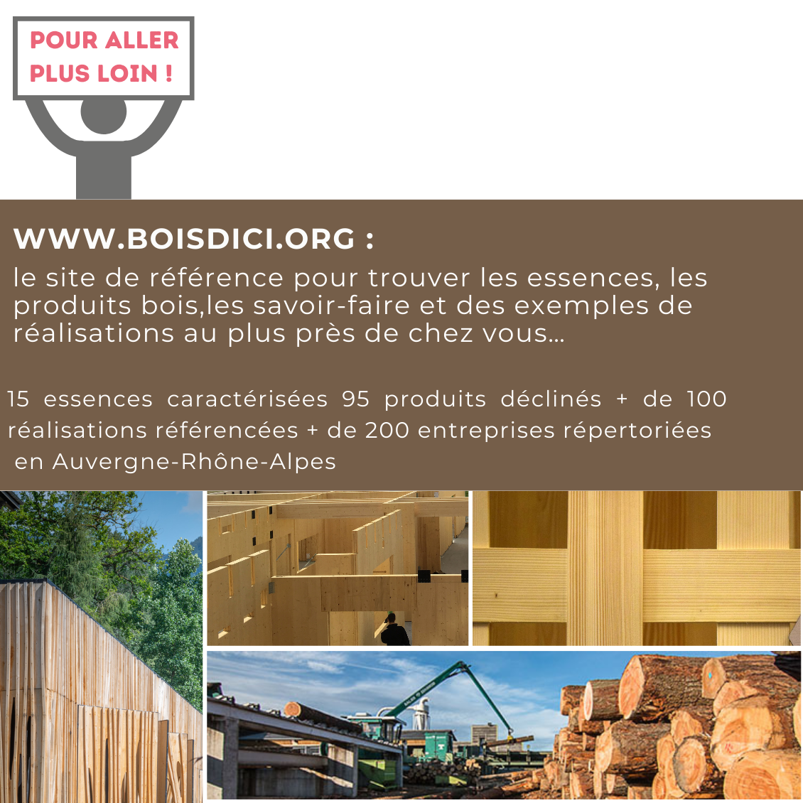 boisdici2 - Fibois AuRa