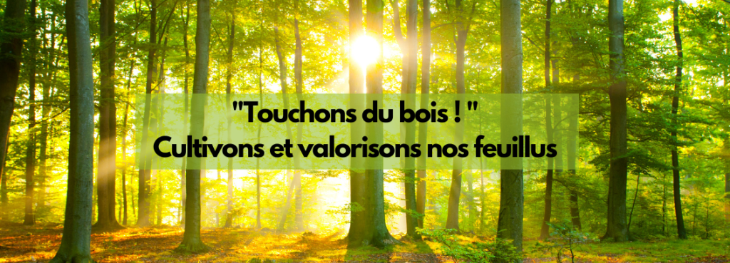 "Touchons du bois ! " Cultivons et valorisons nos feuillus - Fibois AuRa